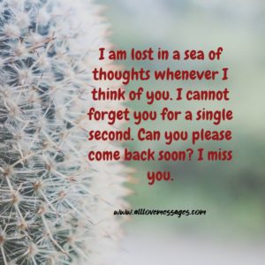 55 Romantic Missing You Message to My Love - All Love Messages